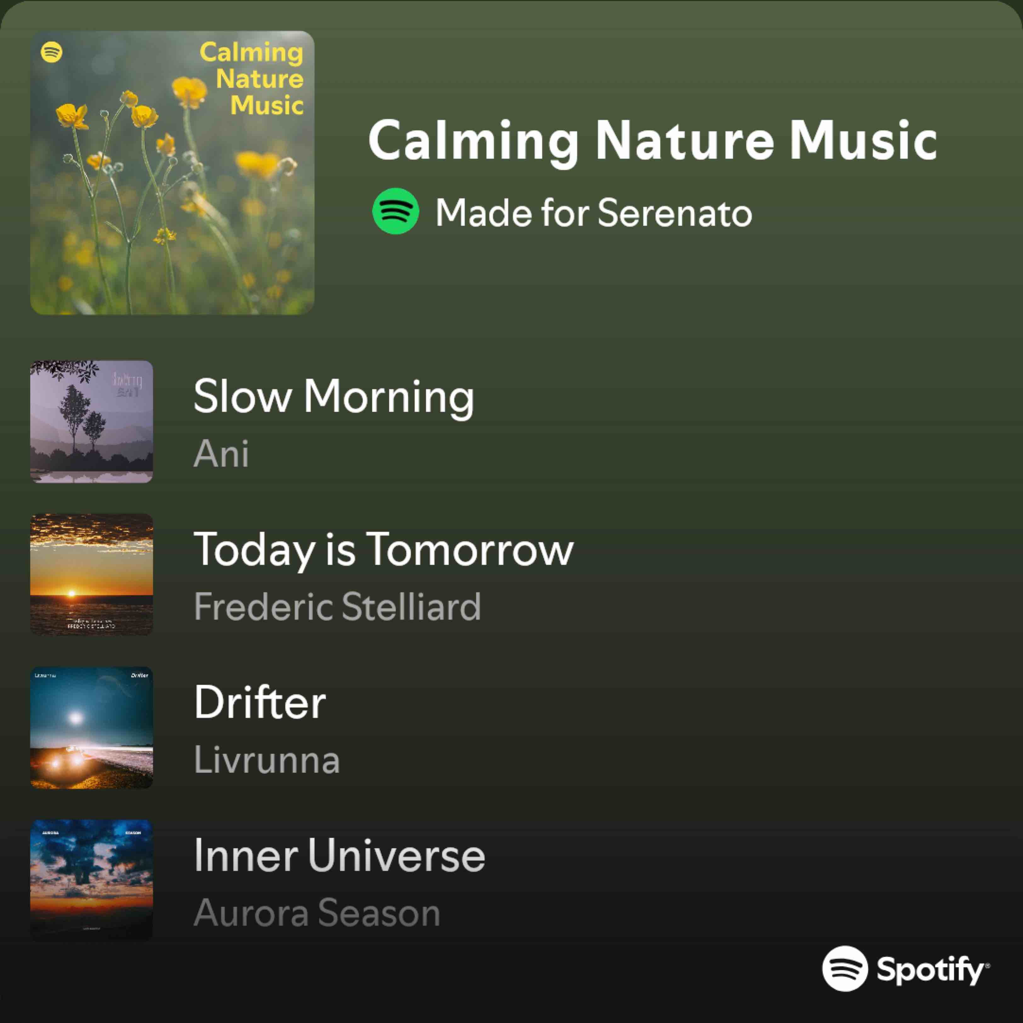 Calming Nature Music | Spotify Playlist